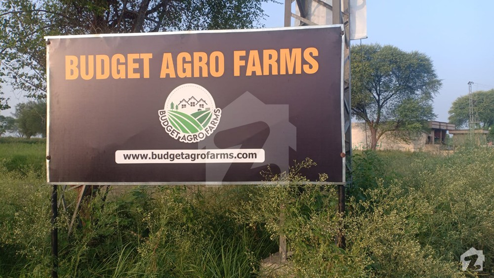 Budget Agro Farms Chakri Rawalpindi - Zameen.com